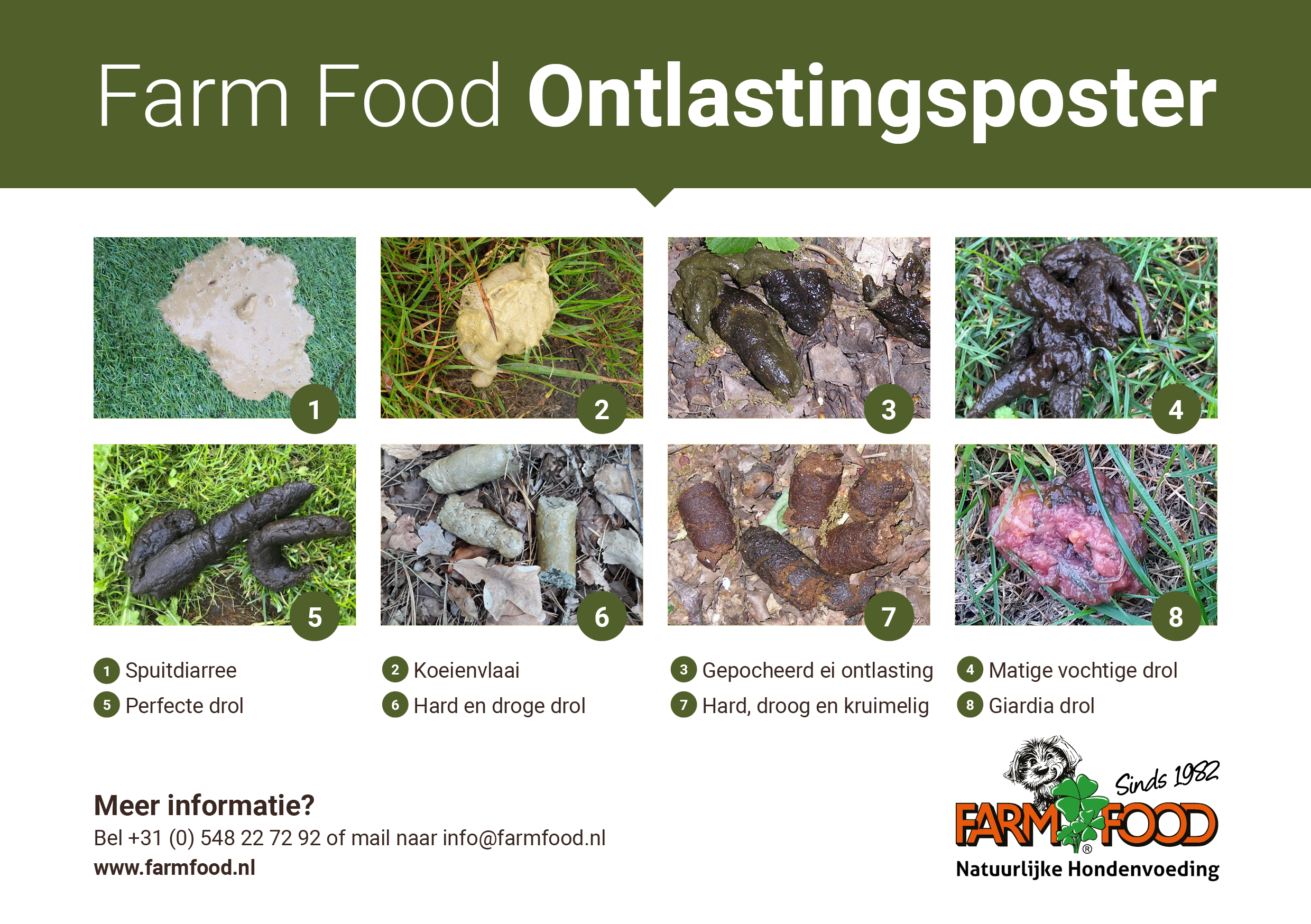 Help… Wat zegt de ontlasting over de gezondheid van mijn hond? | Farm Food Help… Wat zegt de ontlasting over de gezondheid van mijn hond? | Farm Food