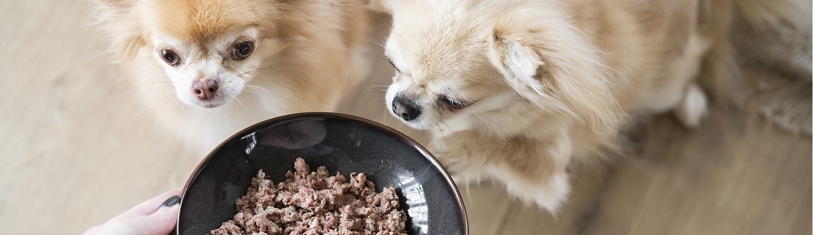 Nieuwste productinnovatie: vers vleesblokjes a 25 gram | Farm Food